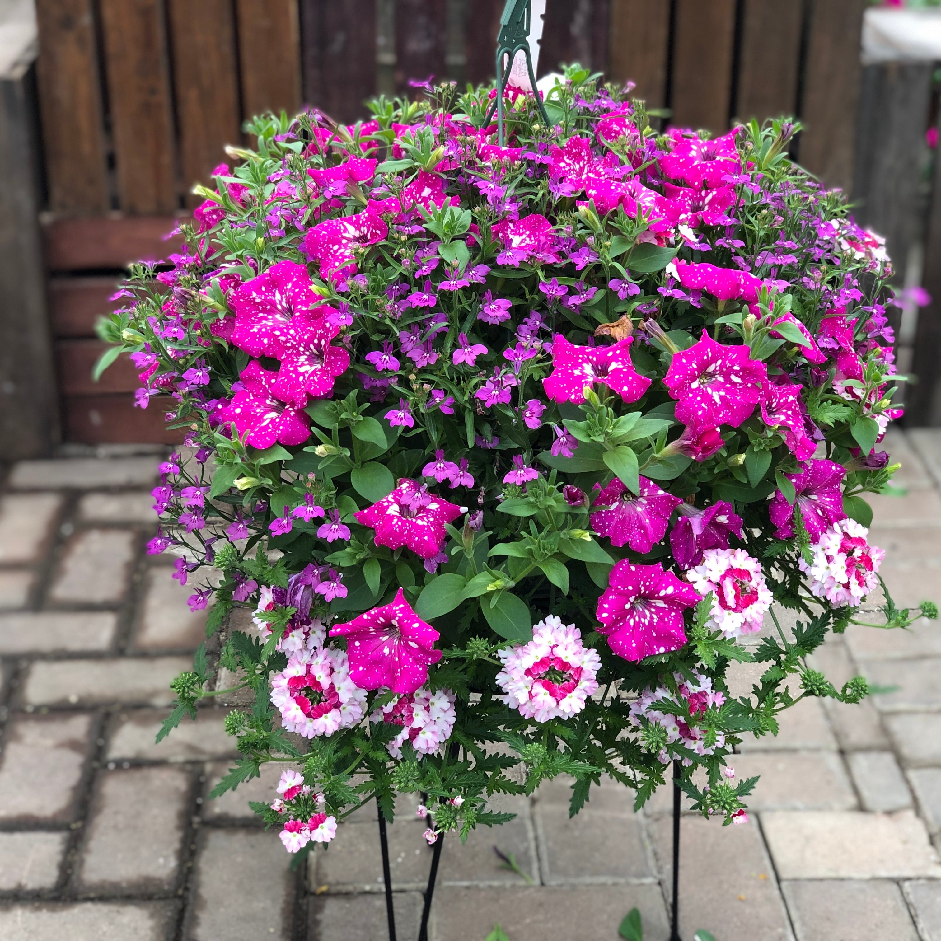 Spring Combo Baskets and Porch Pots – Joe Cappel’s Garden Center